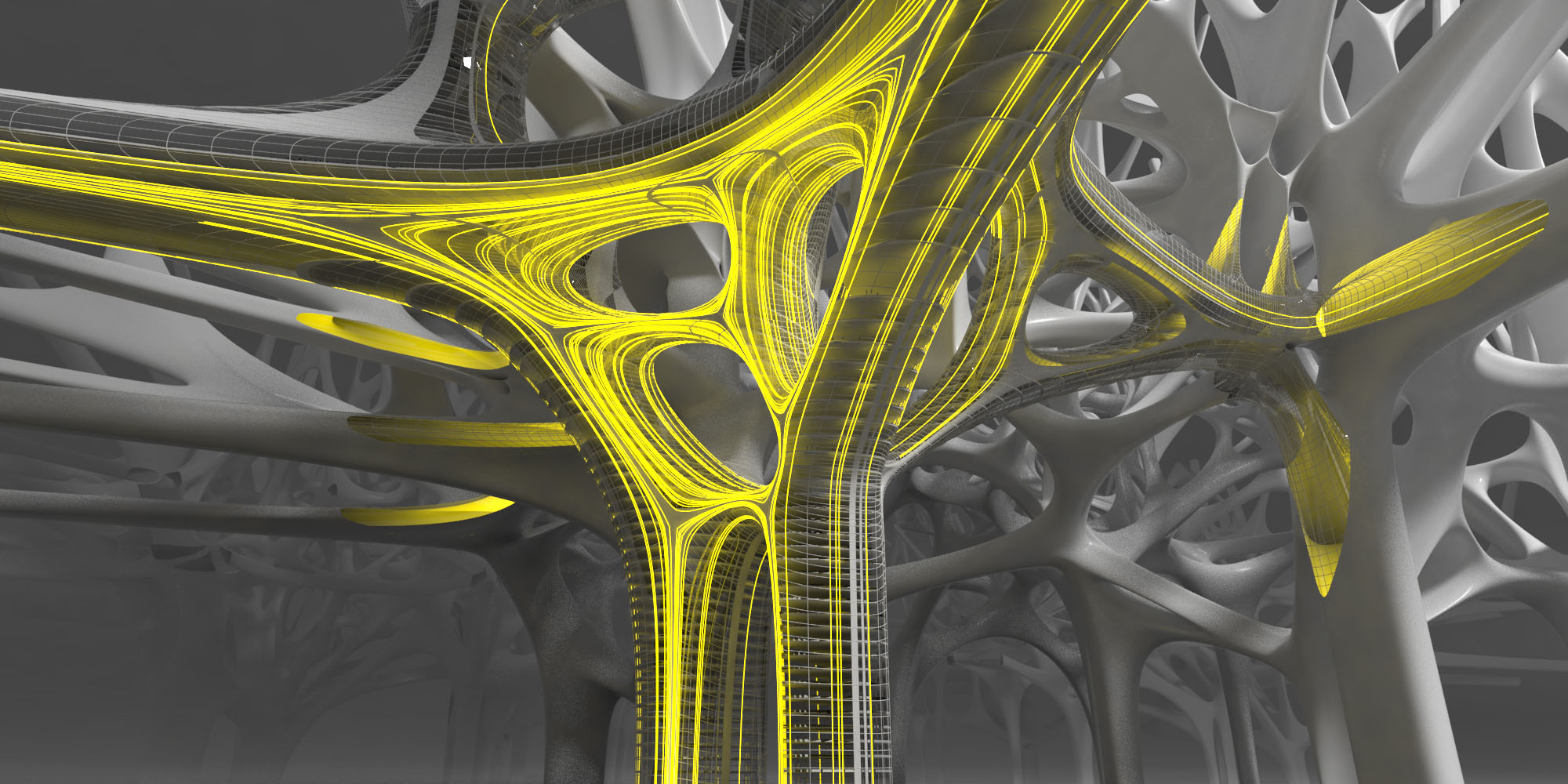 THE THREE BODY PROJECT